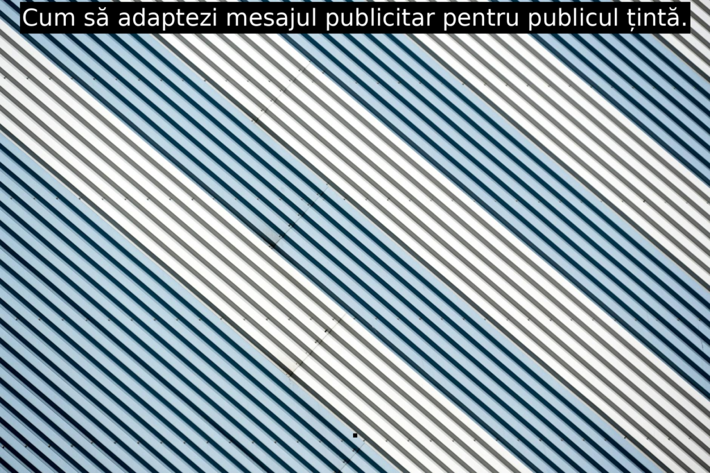 Cum să adaptezi mesajul publicitar pentru publicul țintă. - Cetatean model